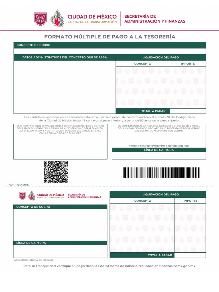 Formato Múltiple de Pago de La Tesorería 2025-01 | PDF
