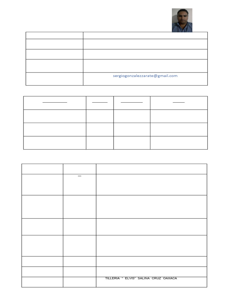 Curriculum Vitae Sergio (2) | PDF