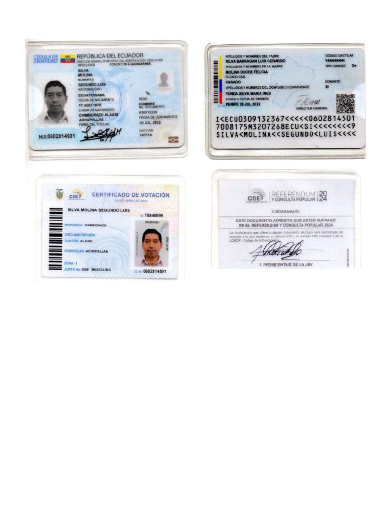 CEDULA LUIS SILVA | PDF