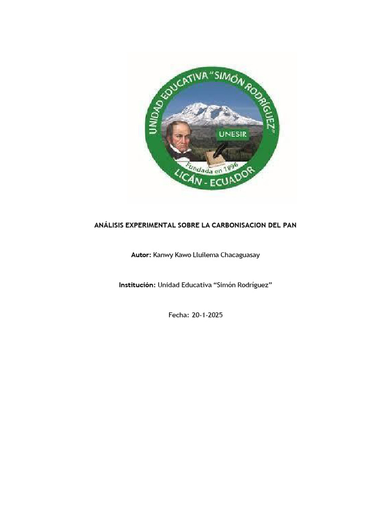Carbonización del Pan: Análisis Experimental | PDF | Panes | Pirólisis
