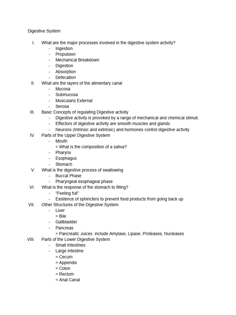 Digestive System Outline | PDF