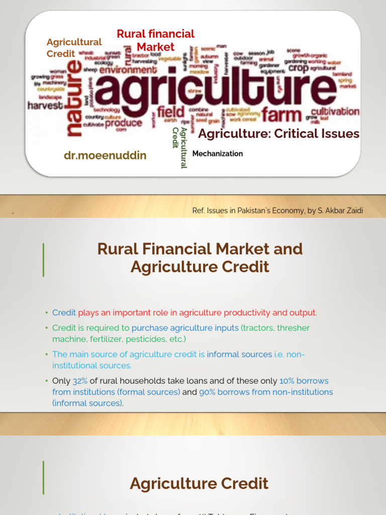 Agriculture Critical Issues 2 | PDF | Agriculture | Loans