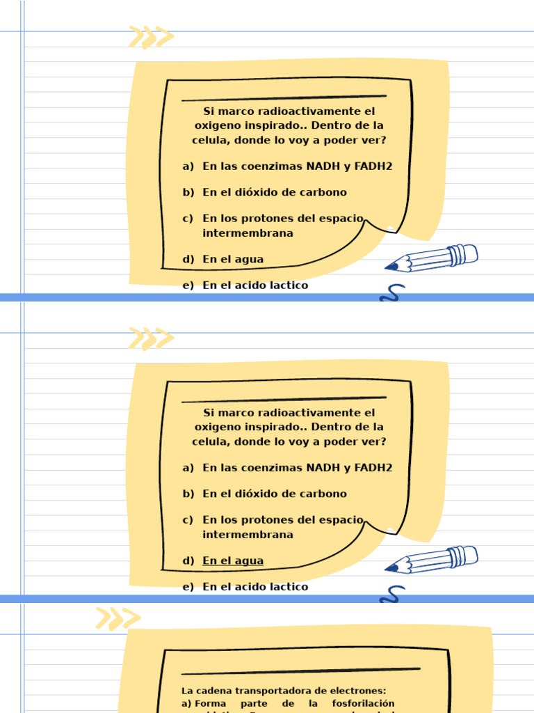 Ciclo Celular I - Replicacion Del ADN | PDF | Replicación De Adn | Adn