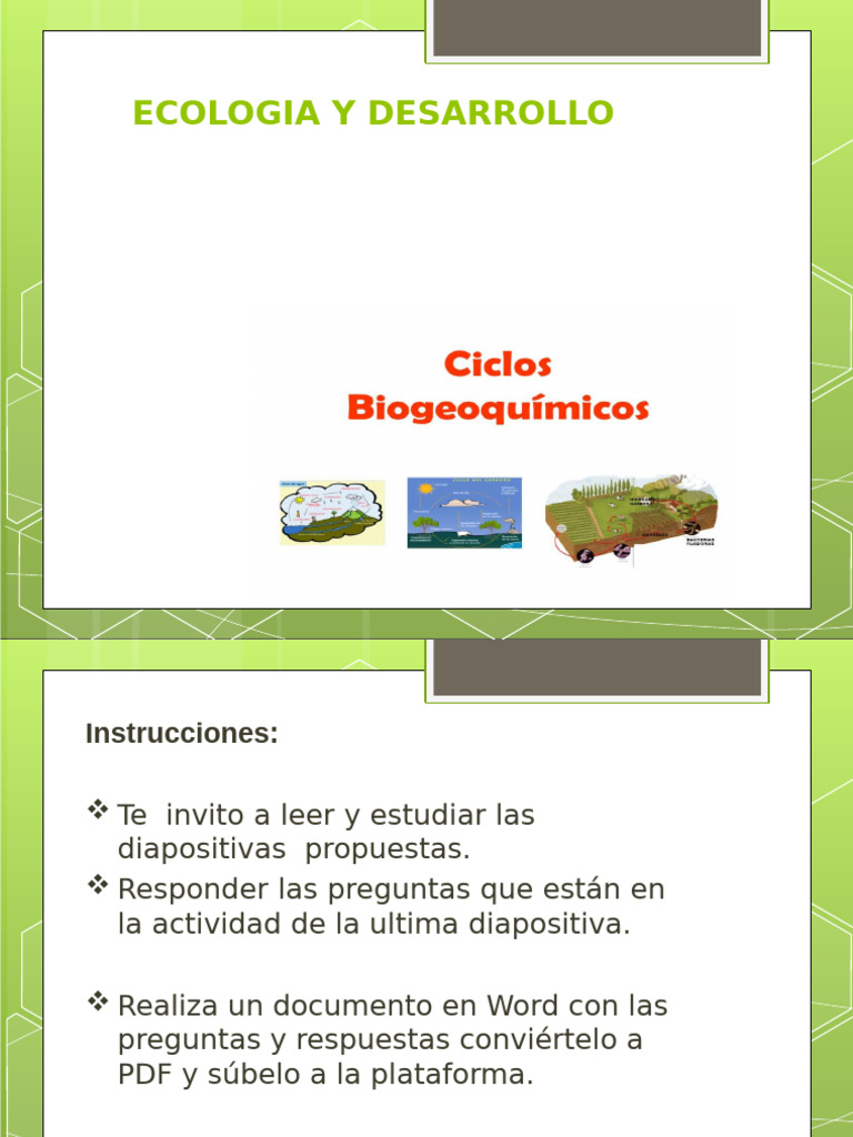 Ciclos Biogeoquímicos y Microorganismos | PDF | Ciencias de la Tierra ...
