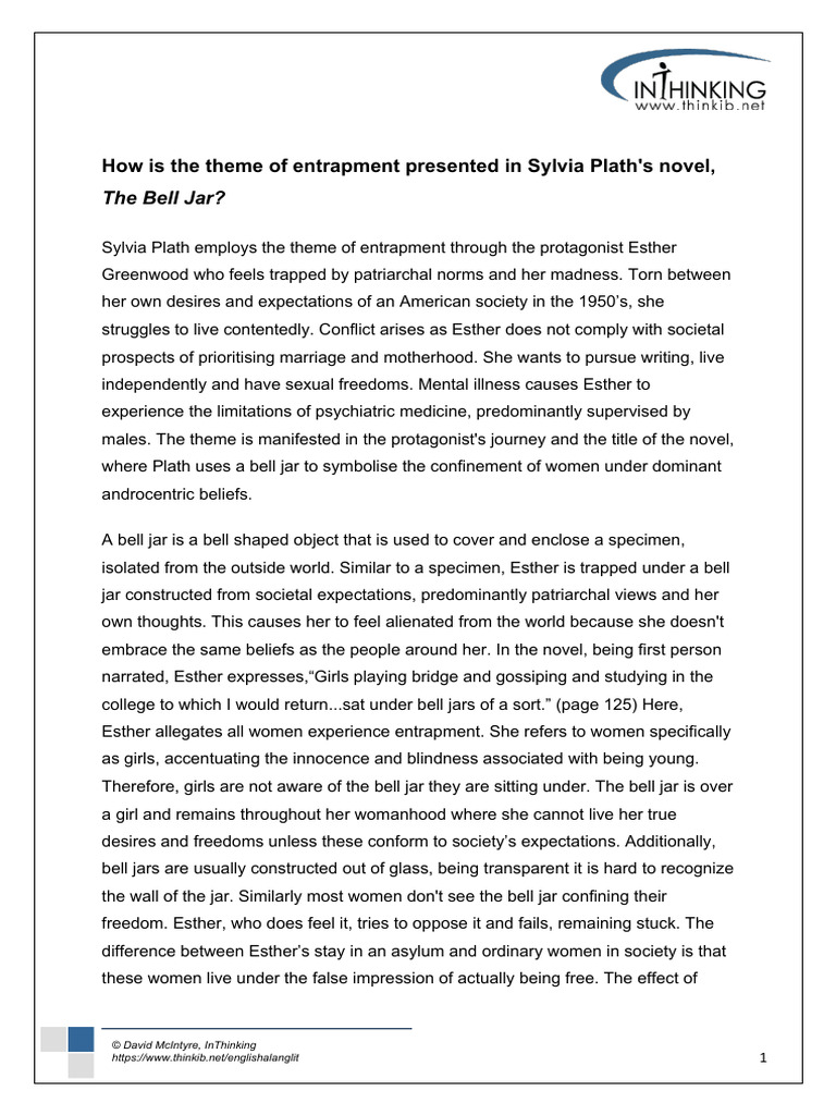 HL Essay Exemplar 3 (Novel - The Bell Jar) | PDF