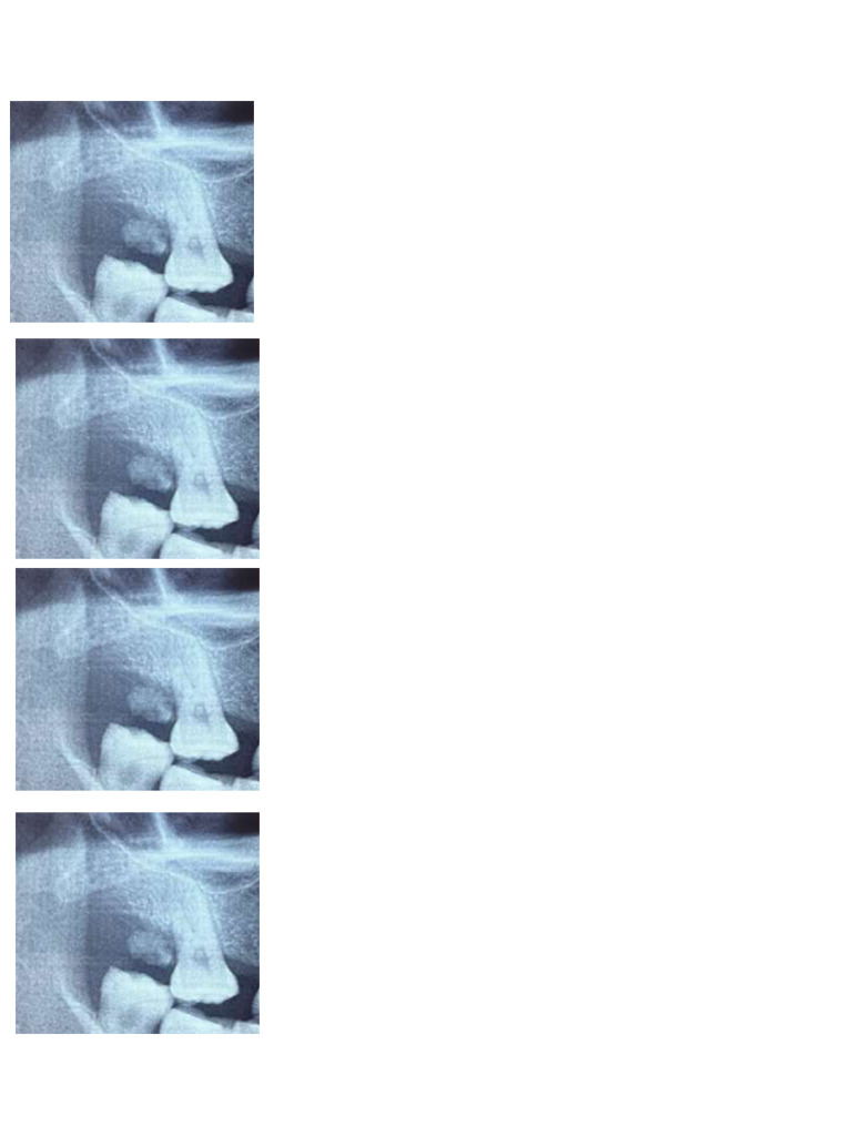 RX Mama | PDF