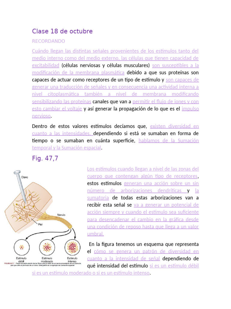 Fisiología de la Somestesia y el Dolor | PDF | Dolor | Cerebro