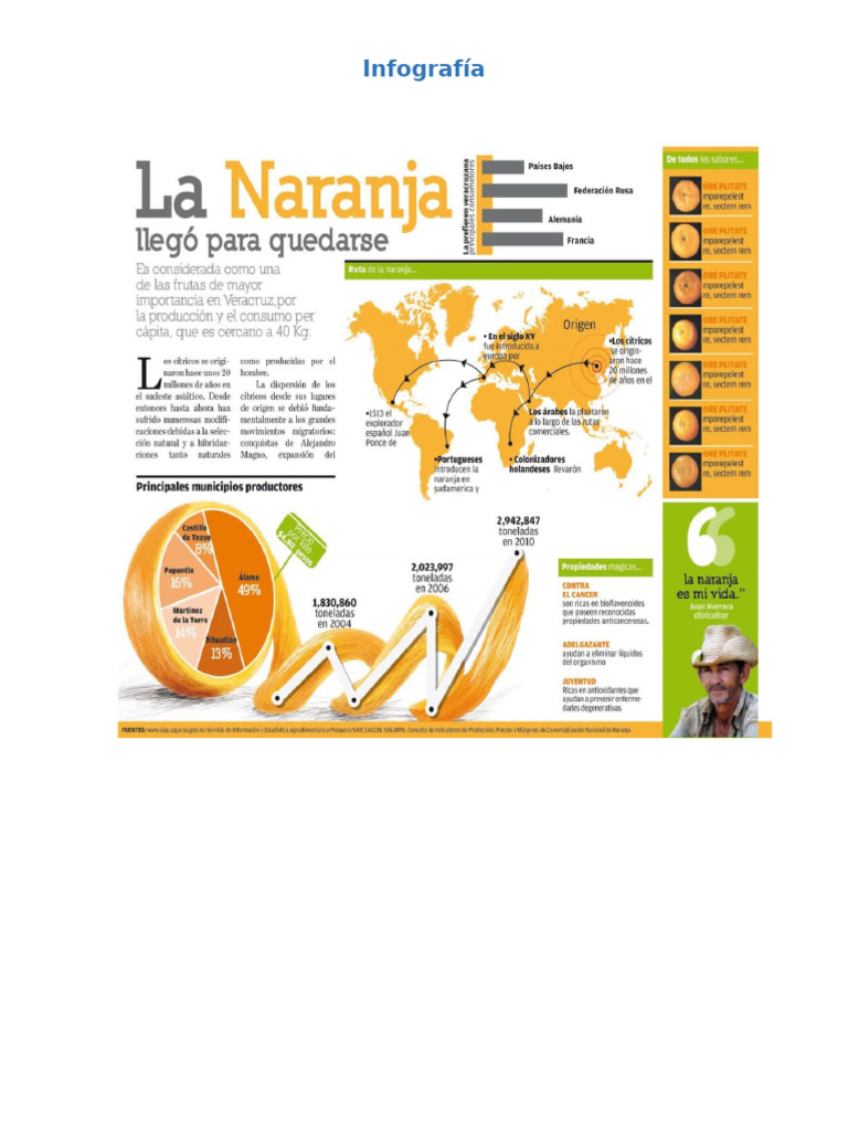 infografia | PDF