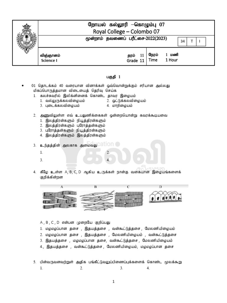 Gr11 Ta Science 2022 Term 3 | PDF