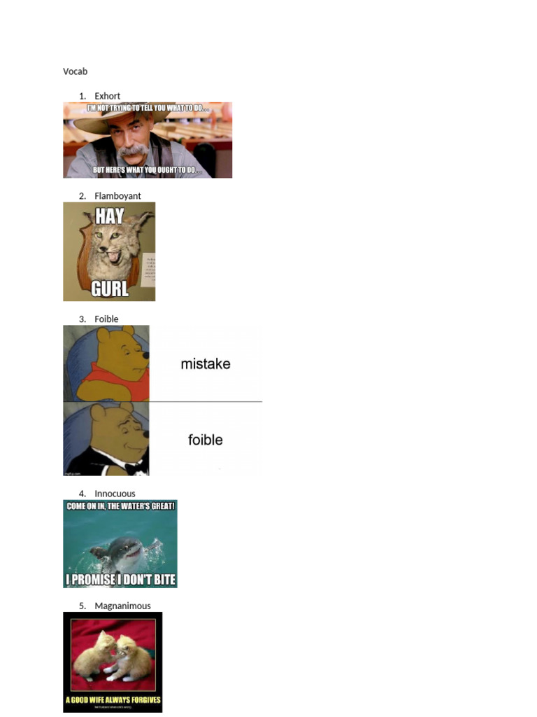 Meme Vocab | PDF