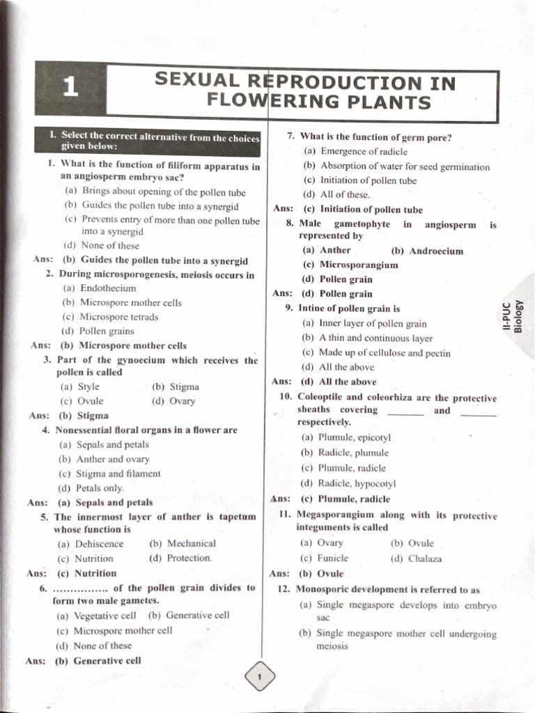 Sexual Reproduction in Flowers SPR Guide | PDF