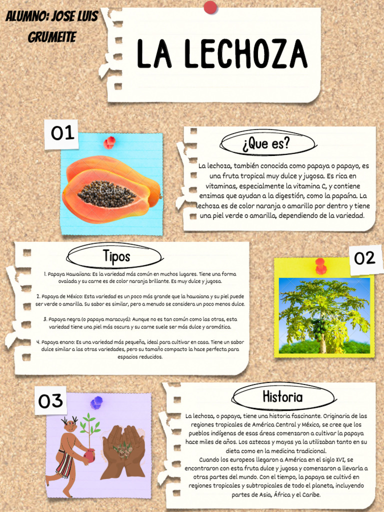 Variedades y historia de la lechoza | PDF | Frutas comestibles | Fruta ...