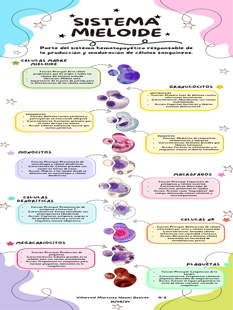 Sistema Mieloide | PDF | Sistema inmune | Inflamación