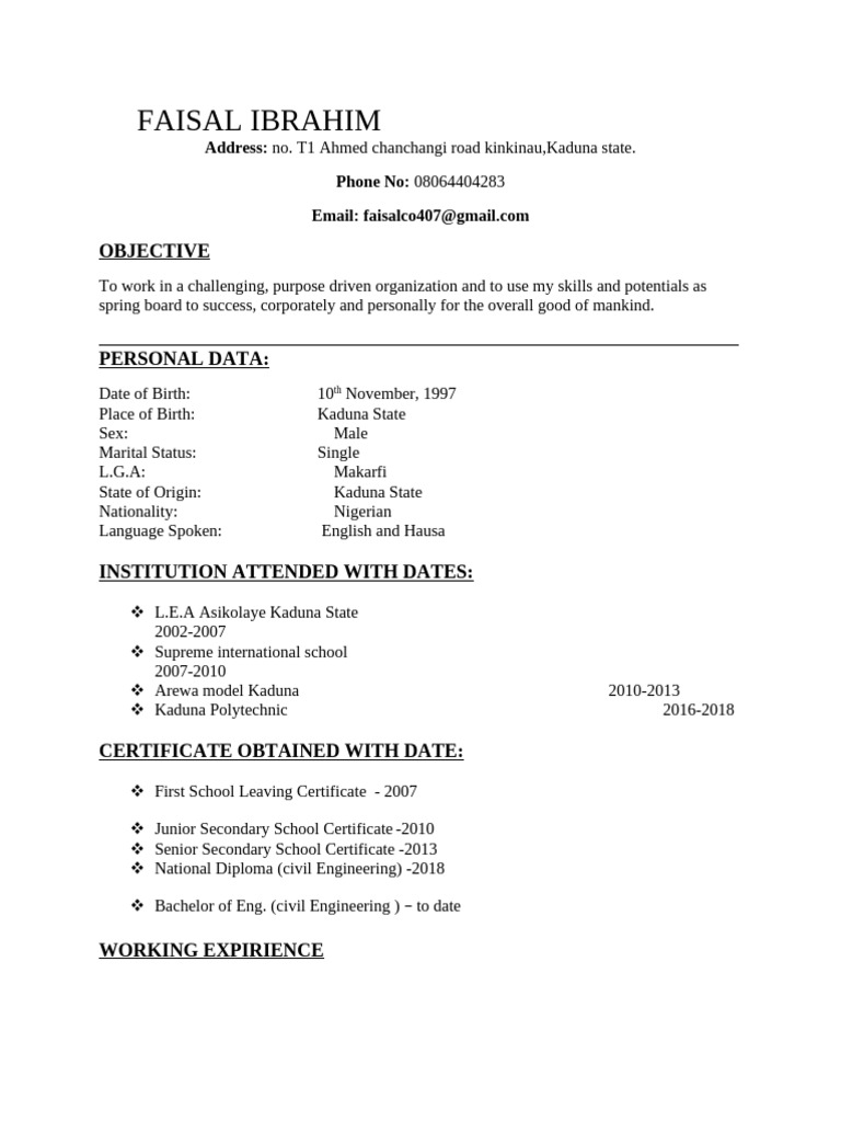 King Faisal CV | PDF