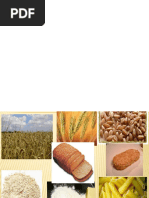 Pasta Measuring Chart | PDF | Pasta | Middle Eastern Cuisine