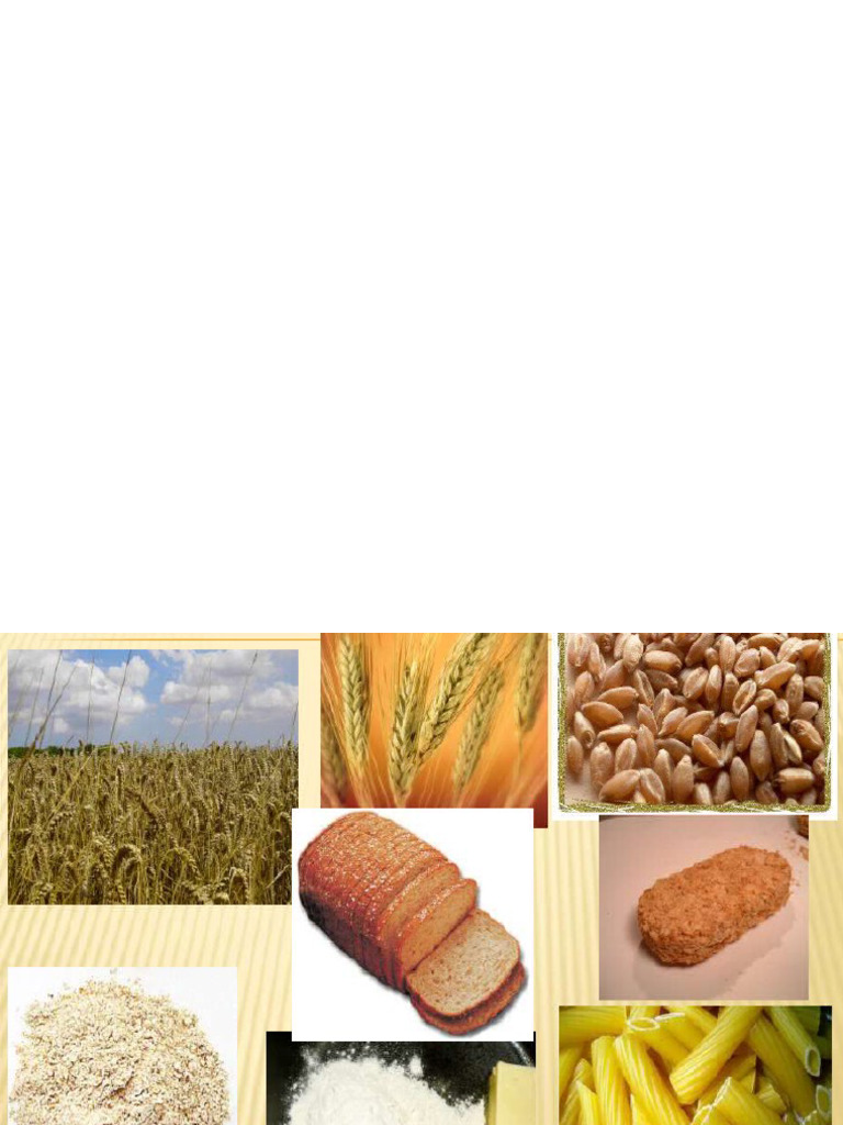 Preparing Cereals and Pasta | PDF | Cereals | Pasta
