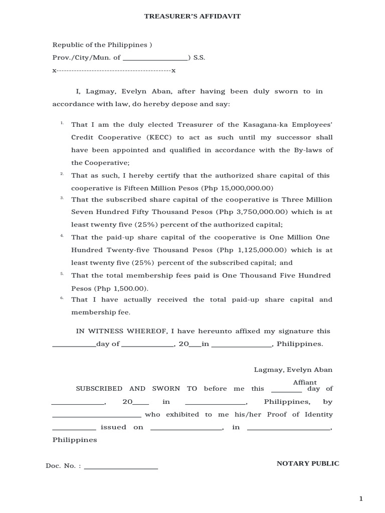 Treasurer Affidavit Primary | PDF
