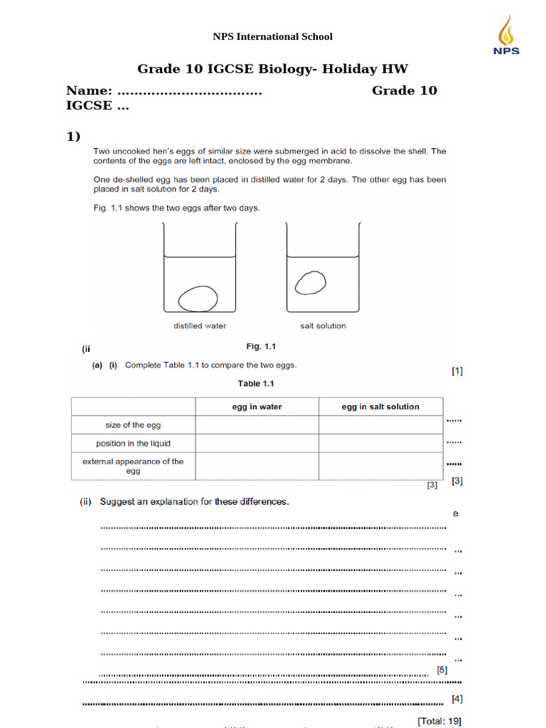 10 IG Biology June Holiday HW | PDF