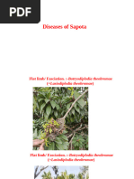 RBD Design and ANOVA Guide | PDF | Standard Error | Errors And Residuals