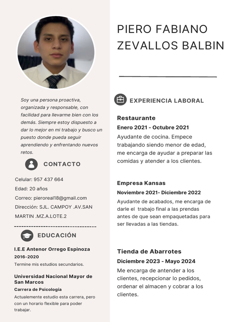 CV Piero Zevallos Balbin | PDF