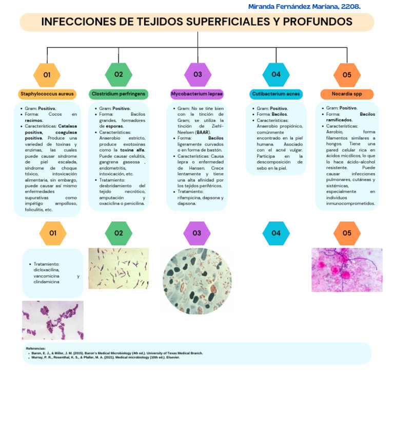Infecciones de Tejidos Superficiales y Profundos | PDF | Staphylococcus Aureus | Especialidades ...