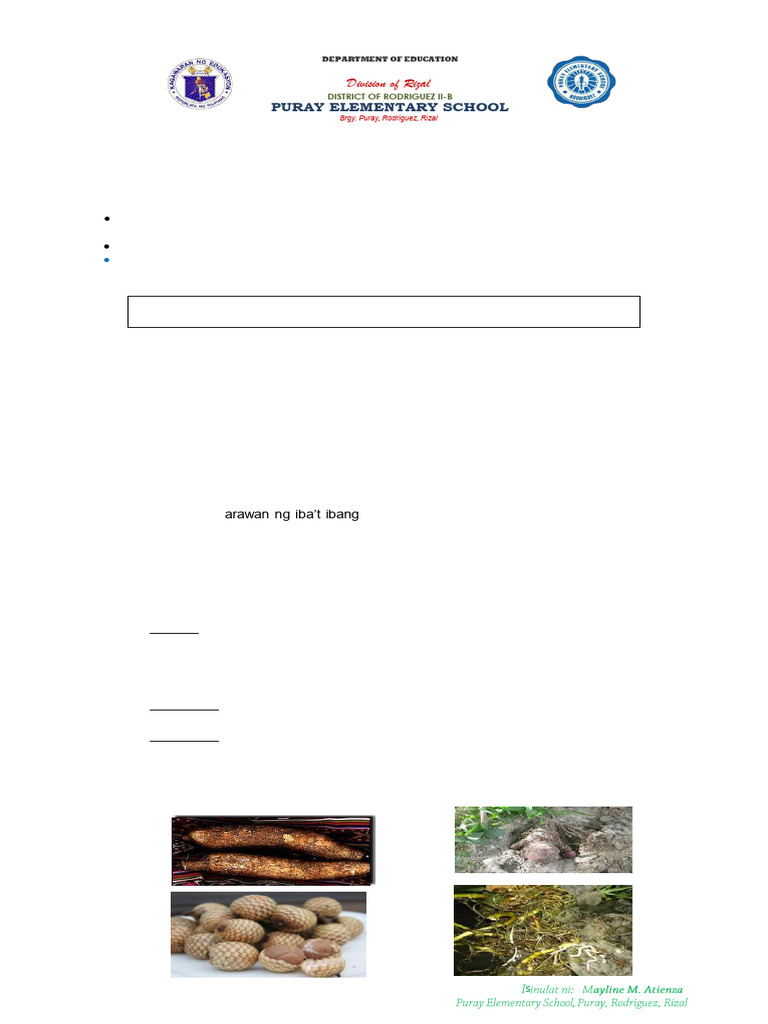 IPED Banghay Aralin AP 1 - Katutubong Pagkain at Kasuotan | PDF