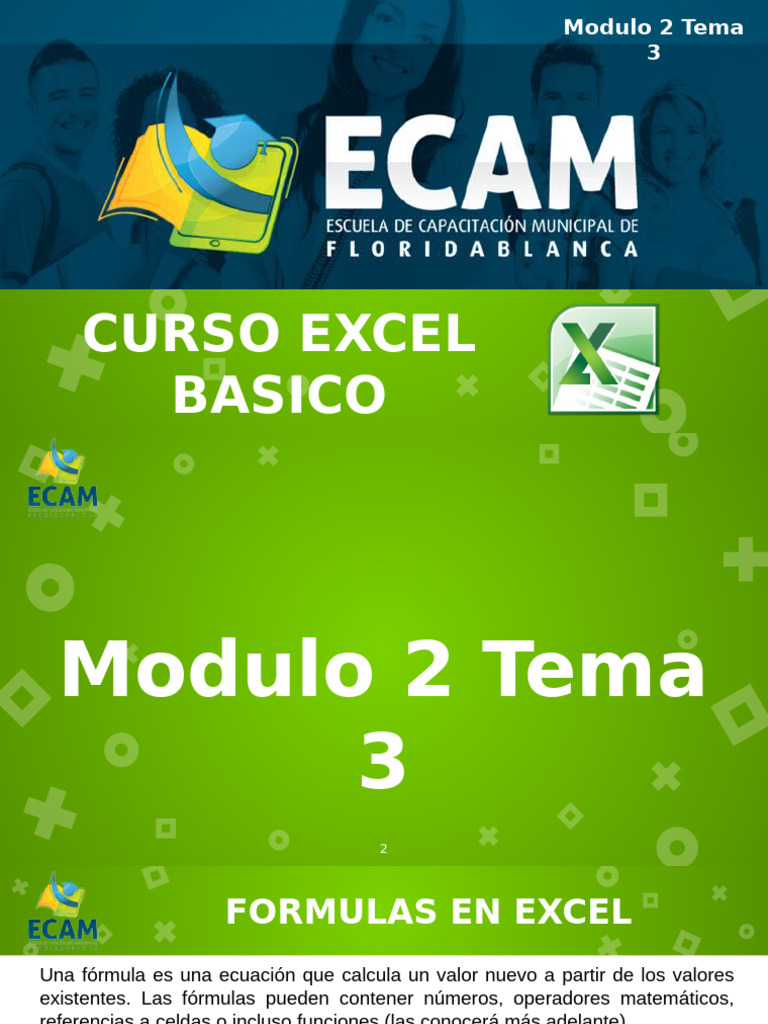 Modulo 2 Tema 3 | PDF | Fórmula | Microsoft Excel