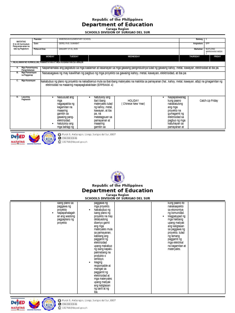 Daily Lesson Plan in EPP 5 | PDF