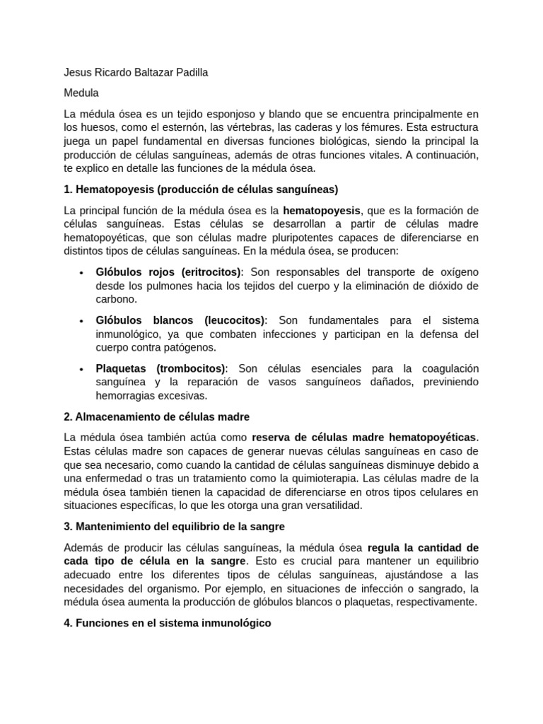 Funciones esenciales de la médula ósea | PDF | Sangre | Médula ósea
