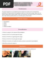 Tipificacion Sanguinea | PDF