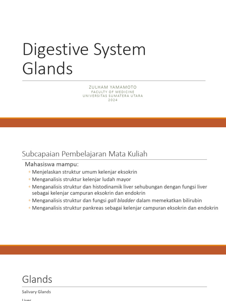 Overview of Digestive System Glands | PDF | Liver | Pancreas