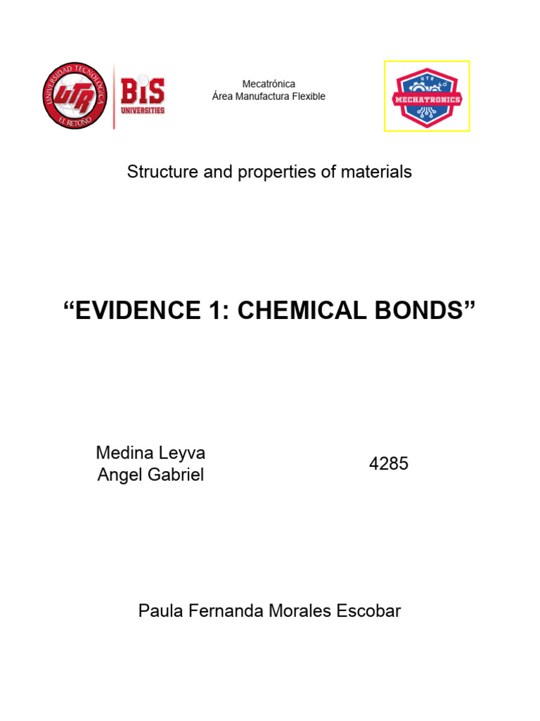 St4285 Mtsmf4c Medina Leyva Angel Gabriel Evidence1 | PDF