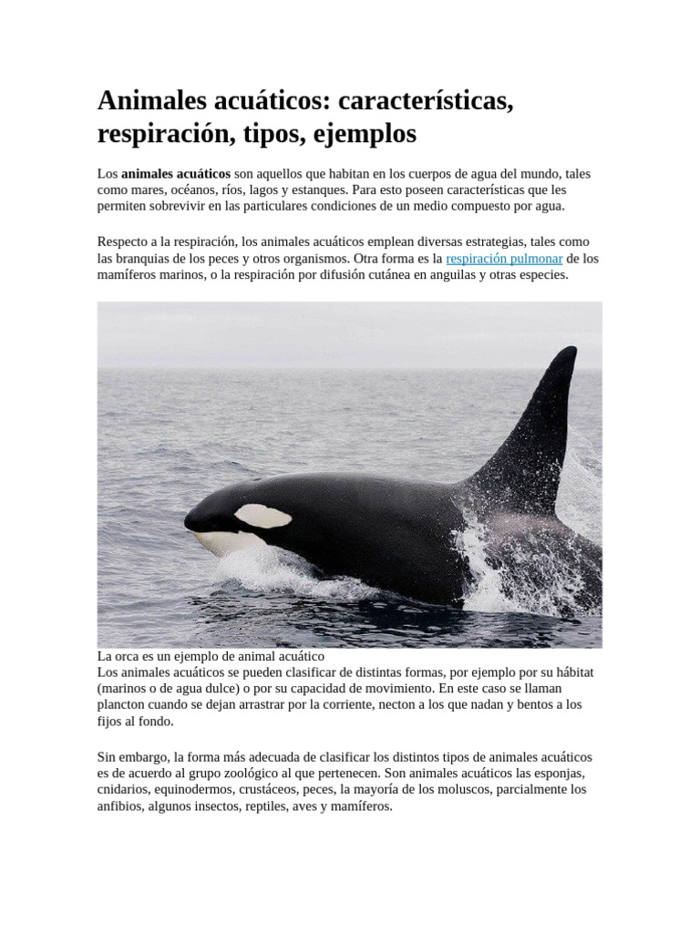 Animales Acuáticos | PDF | Respiración | Branquia