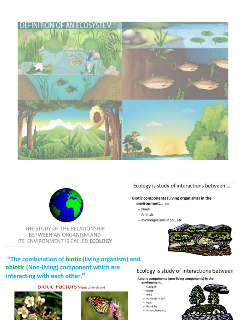 Ecosystem Sampling Techniques | PDF | Ecosystem | Aquatic Ecosystem