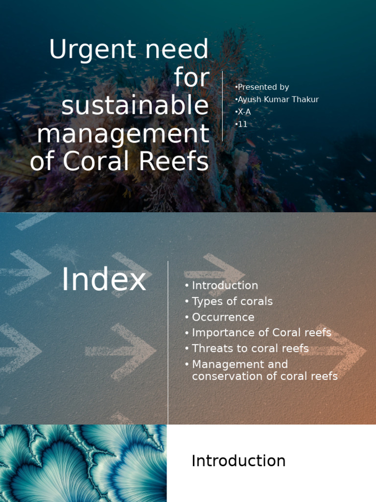 Urgent need for sustainable management of Coral Reefs | PDF | Coral ...