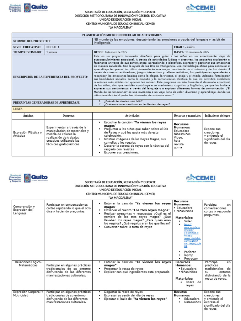 Primera Planificacion Enero | PDF | Las emociones | Educación de la ...