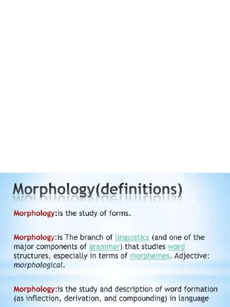 Morphology | PDF
