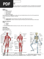 Goniometry of Cervical Spine | PDF