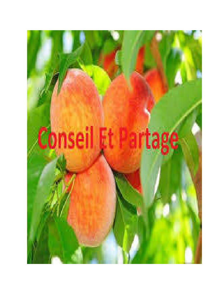 Fanafody Natoraly 2 1 | PDF