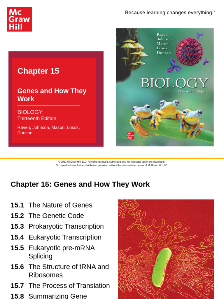 Chapter 15 - Genes and How They Work | PDF | Rna | Genetic Code