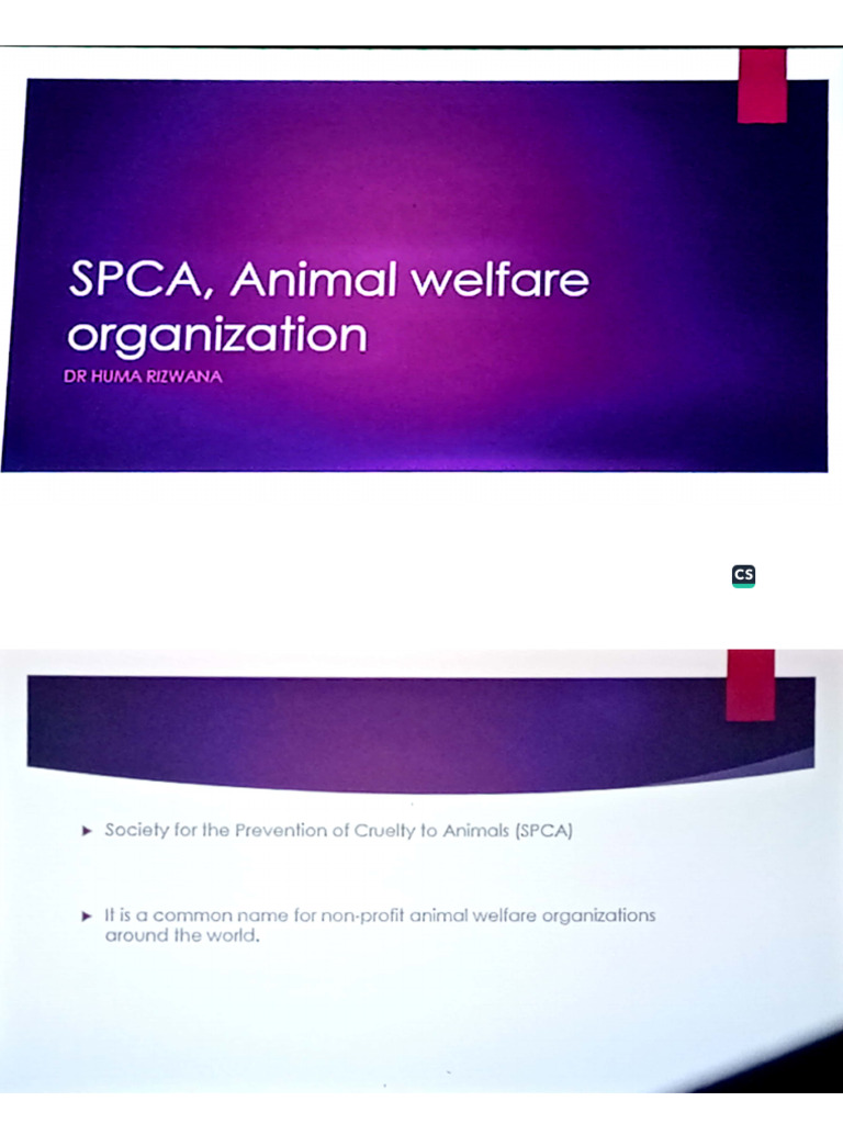 SPCA | PDF