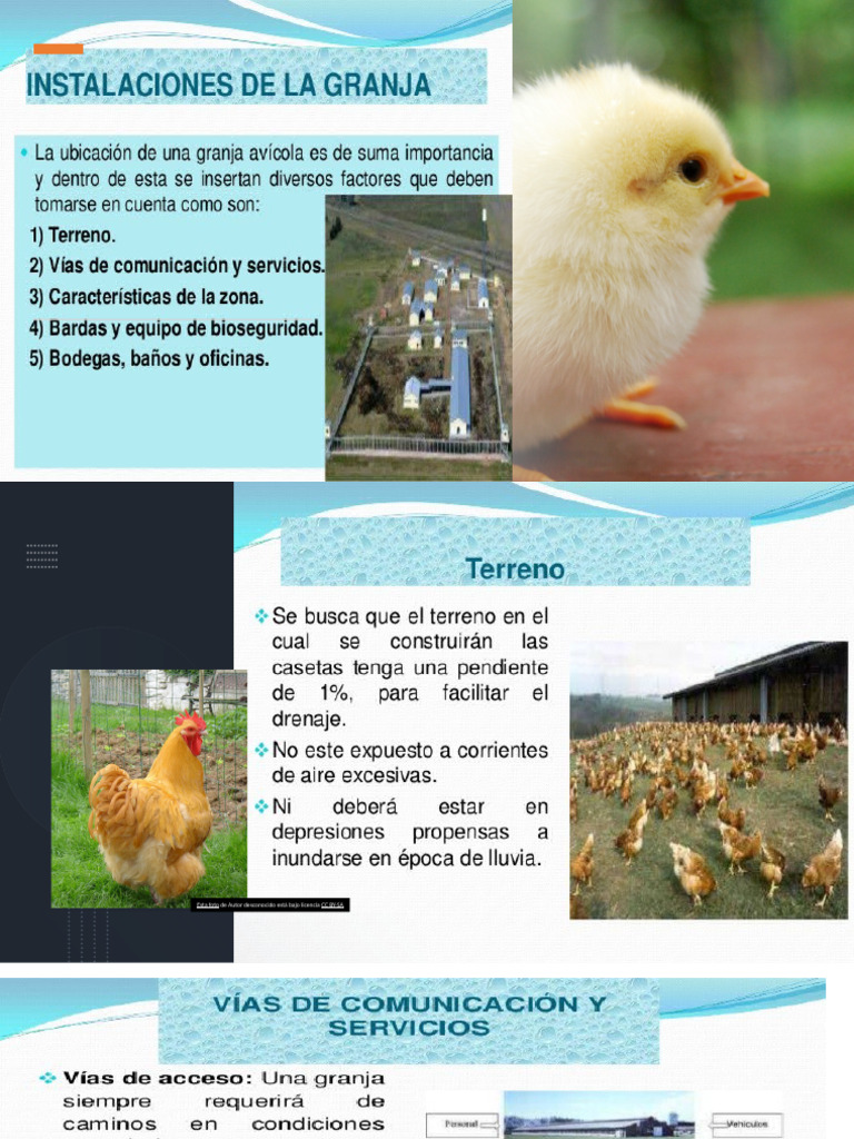 Foto de Autor Desconocido bajo CC BY-SA | PDF