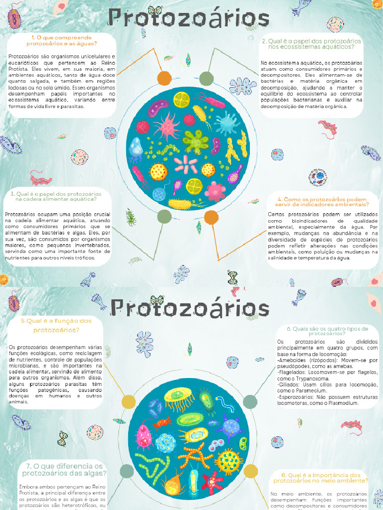 mapa mental protozoários do Gustavo Lima 2 MAM | PDF