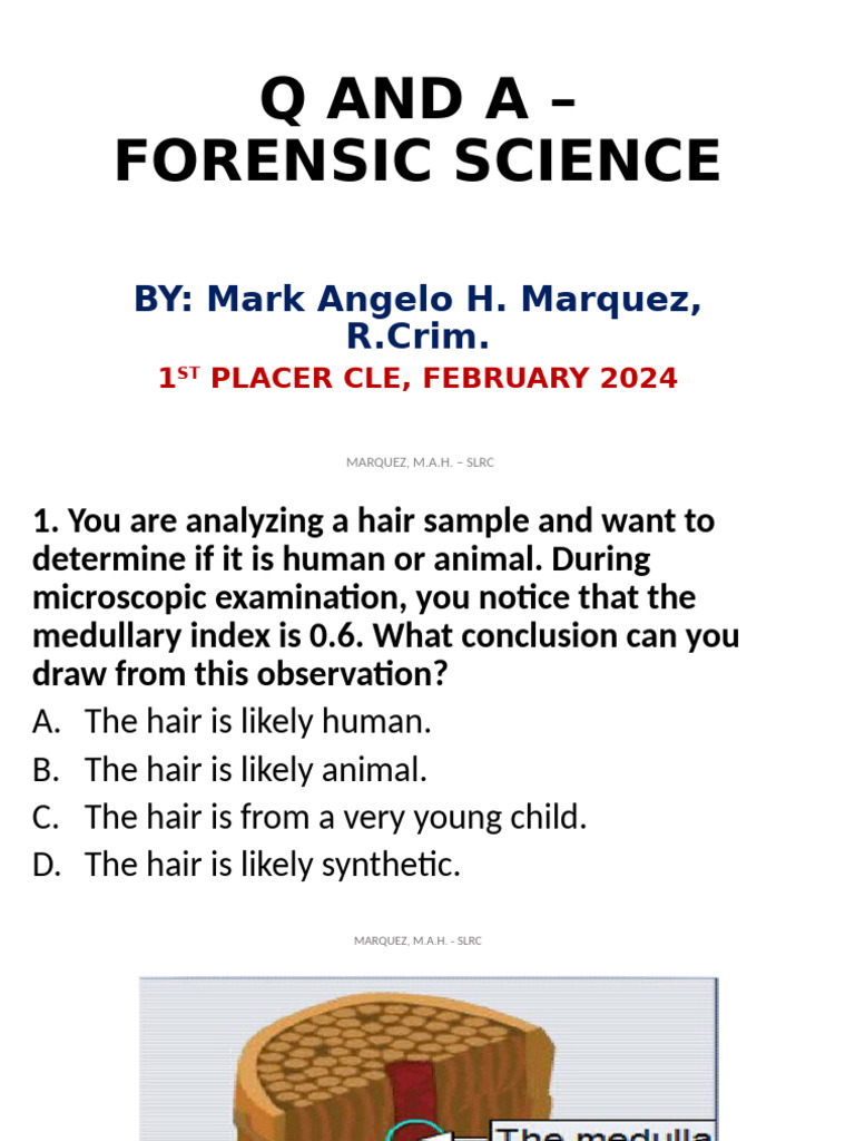 Share DAY-2-FS-Autosaved | PDF | Gun Barrel | Ballistics