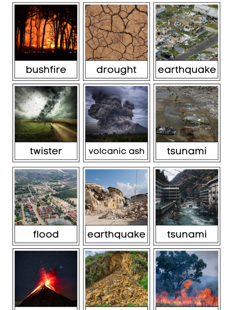 Natural_Disasters_Picture_Flashcards_klyukva | PDF