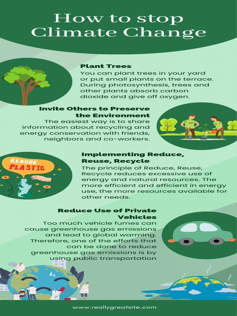 Green Illustrated How To Stop Climate Change Infographic - 20241203 ...