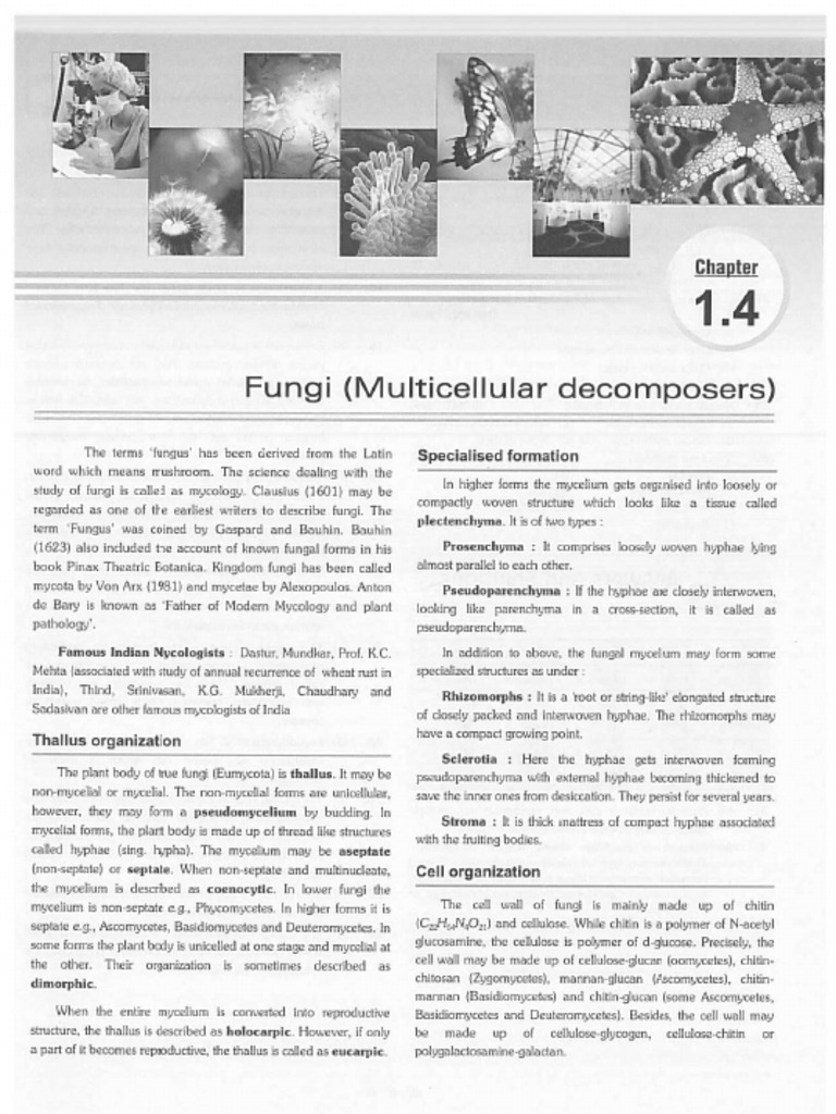 Errorless Biology Fungi 2025 | PDF