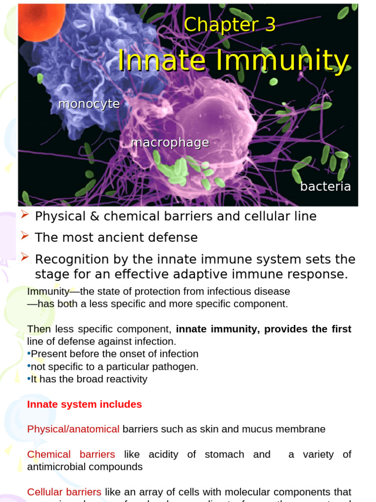 2 Innate Immunity Class | PDF | Immune System | T Cell