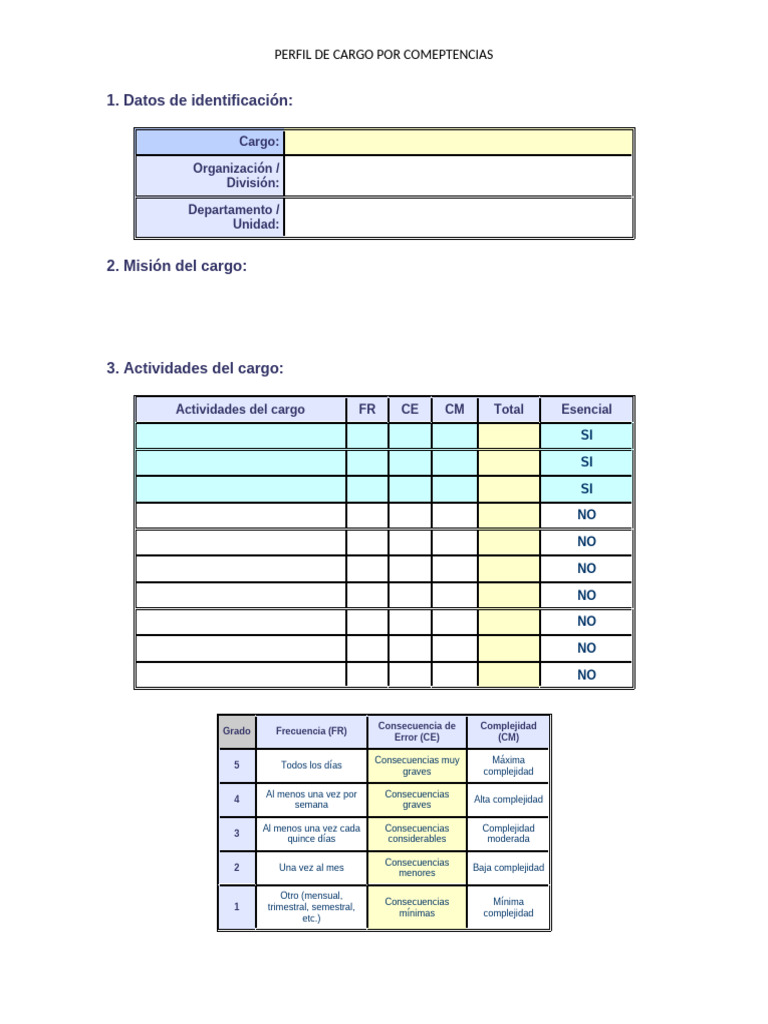 FORMATO PERFIL VACIO | PDF