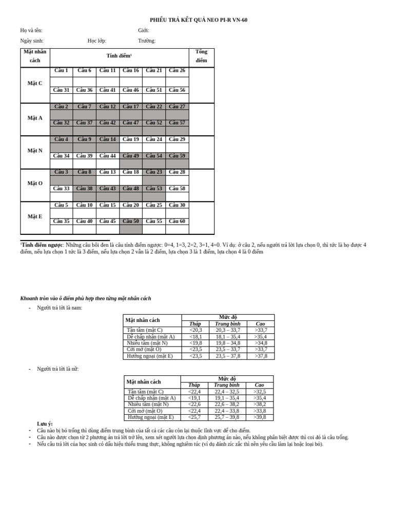 Phieu Tra Ket Qua NEO-PI-R | PDF